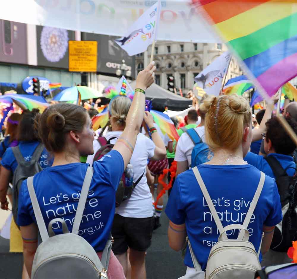 England Committee Members RSPB England - Oxford HR