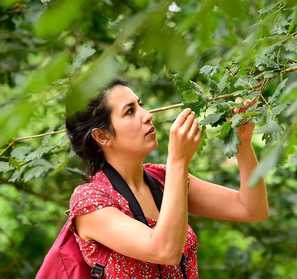 England Committee Members RSPB England - Oxford HR