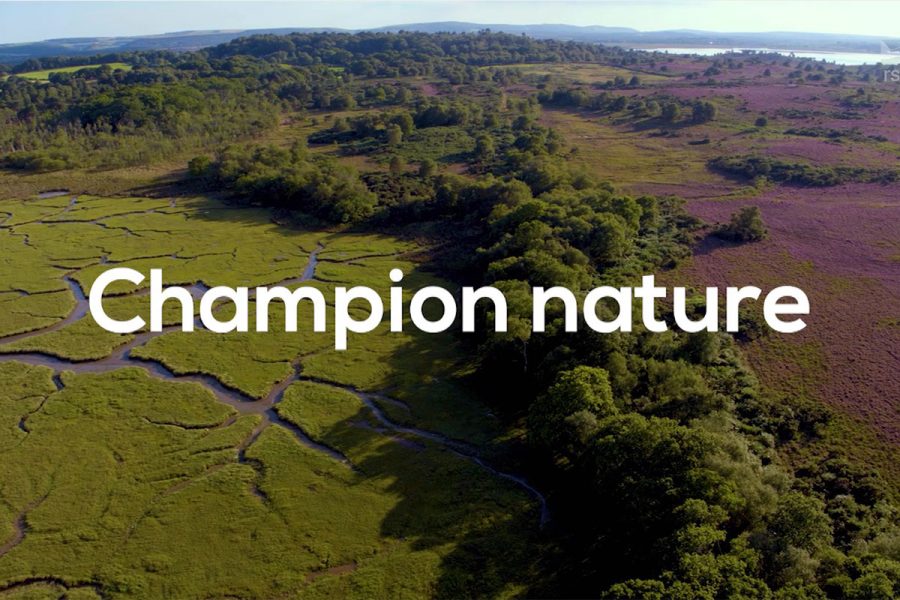 England Committee Members RSPB England - Oxford HR